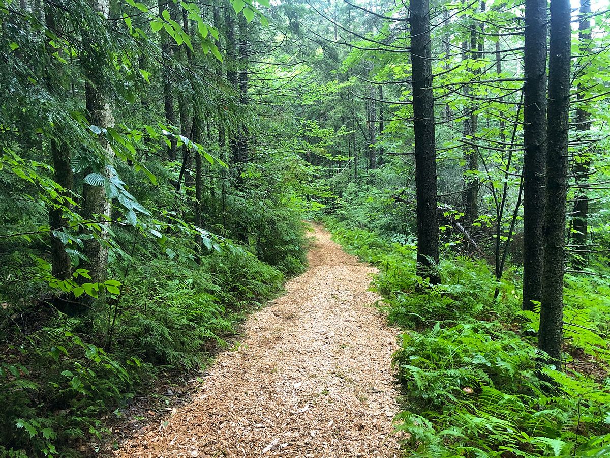 Blazing Trails | Adventurous Way