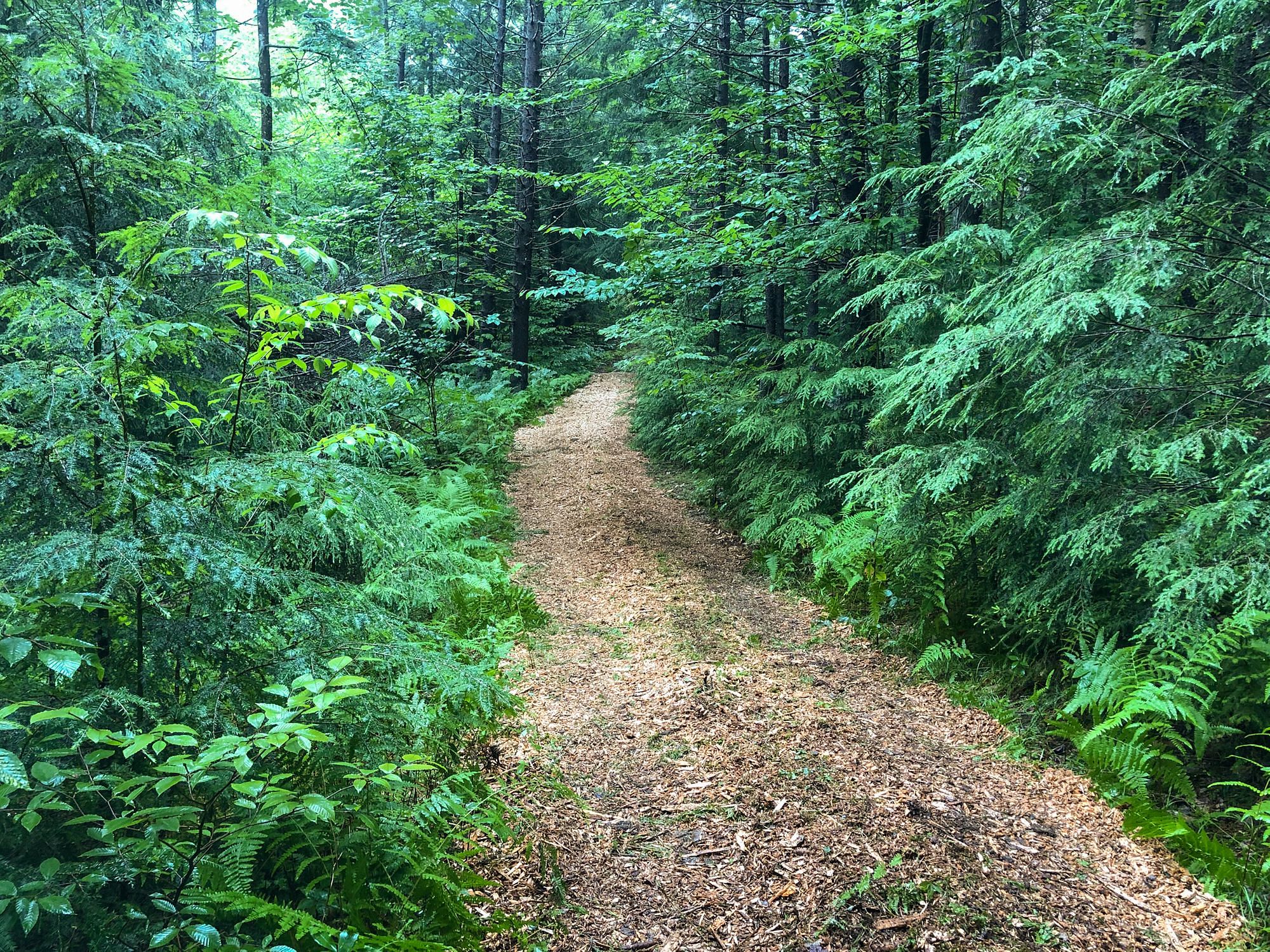 Blazing Trails Adventurous Way Blazing Trails Adventurous Way