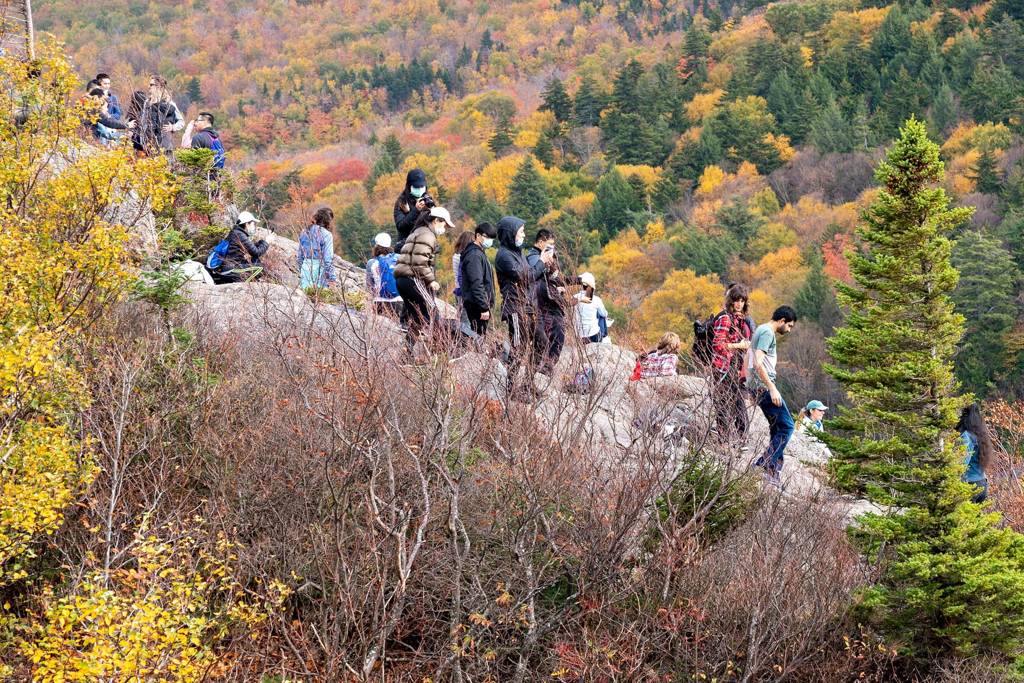 Crowds at Artists Bluff | Adventurous Way